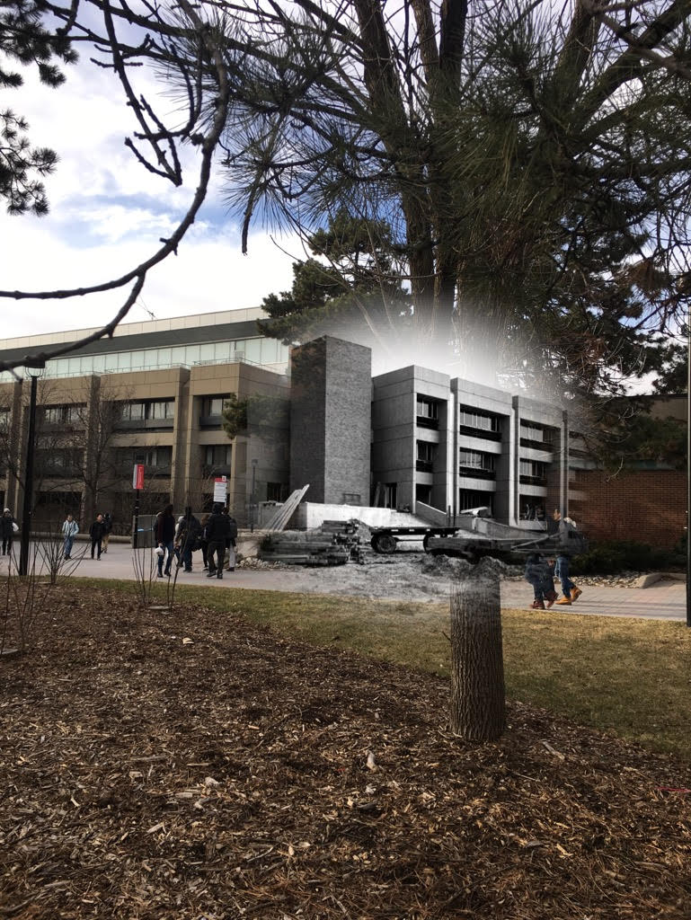 Petrie Science building 1968 – Digital History